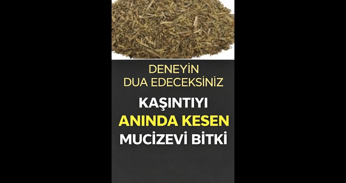 Kaşıntı’ Şikâyetlerine Karşı Aktar Önerileri